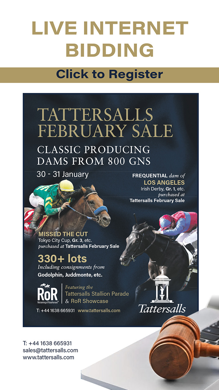 LIVE INTERNET BIDDING: Register to Bid