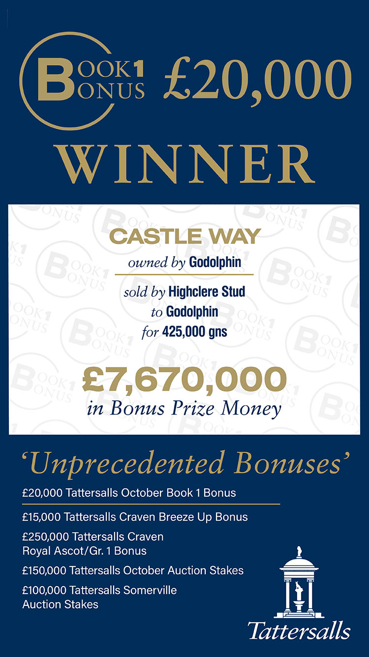 Castle Way Wins £20,000 October Book 1 Bonus and Earns £25,400
