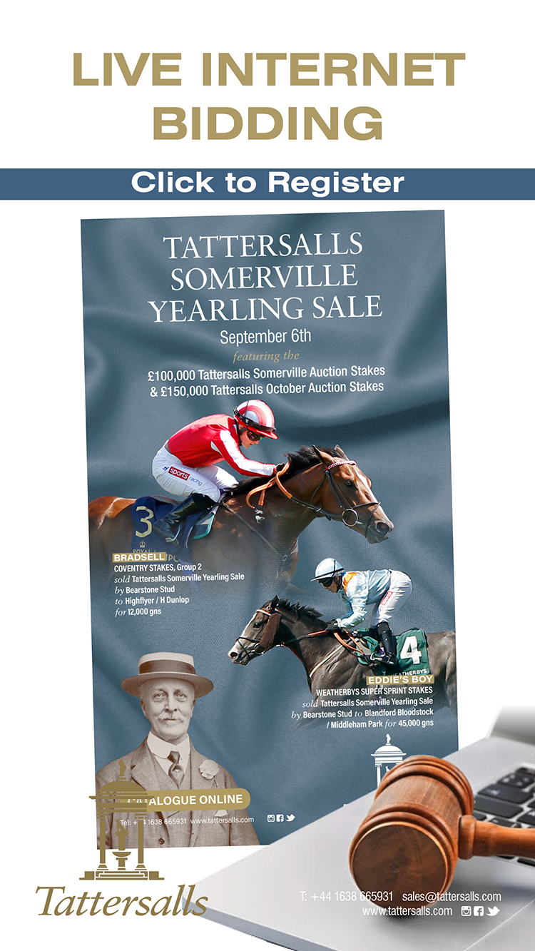 LIVE INTERNET BIDDING: Register to Bid - Tattersalls Somerville ...