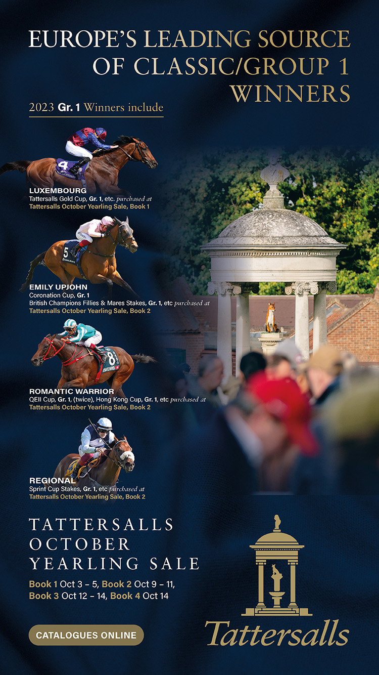 View Lots in the Tattersalls October Yearling Sale 2023