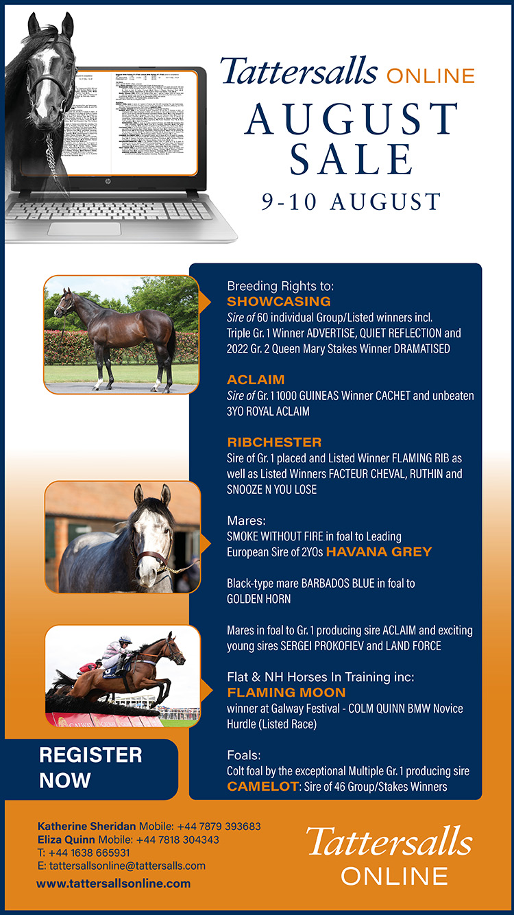 TATTERSALLS ONLINE AUGUST SALE 2022