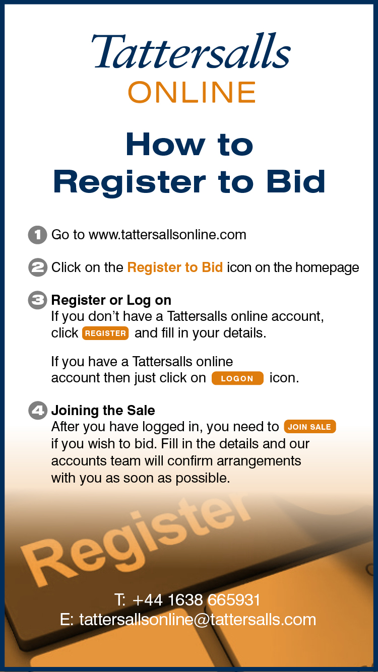 Bidding Opens in Two Hours - Online April Sale