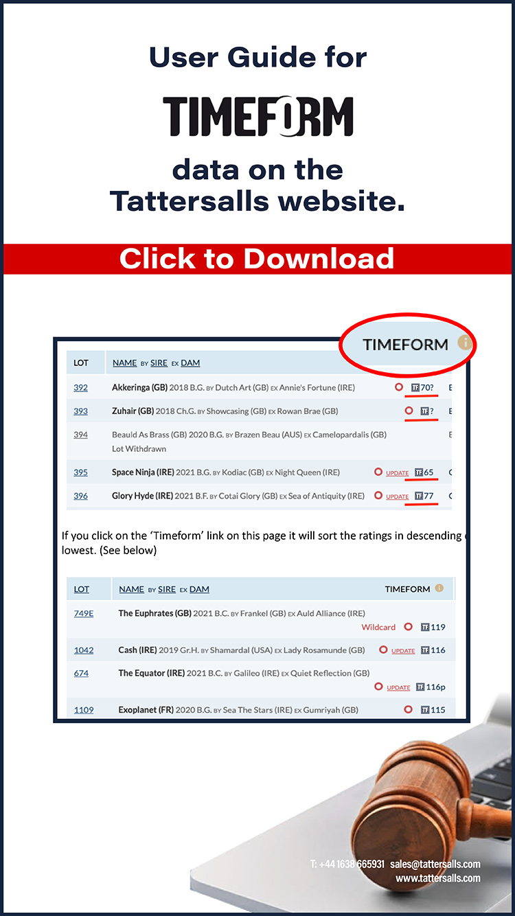 User Guide for Timeform Data on the Tattersalls Website