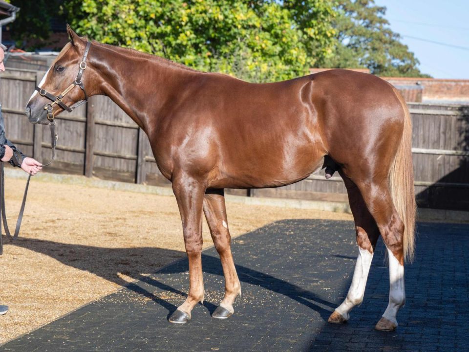 Tattersalls