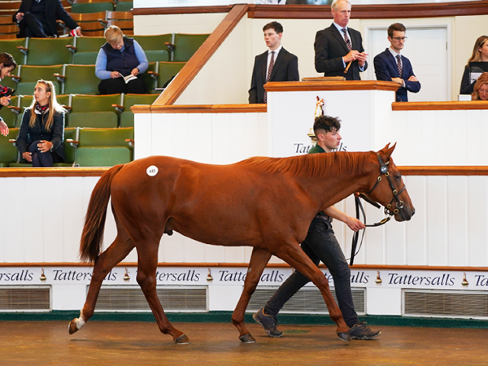 Tattersalls