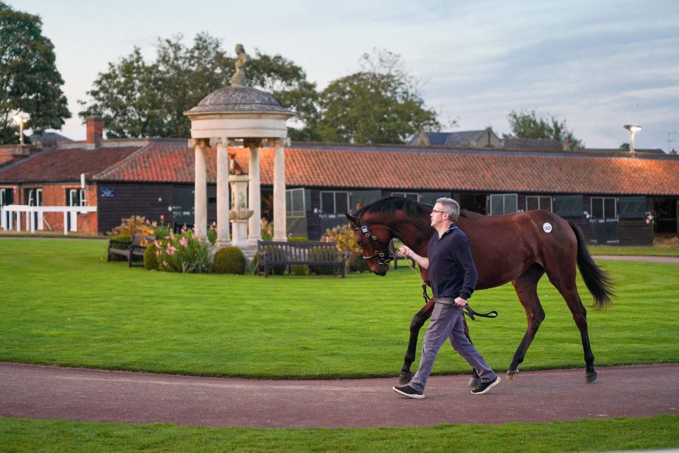 Image Gallery - Tattersalls