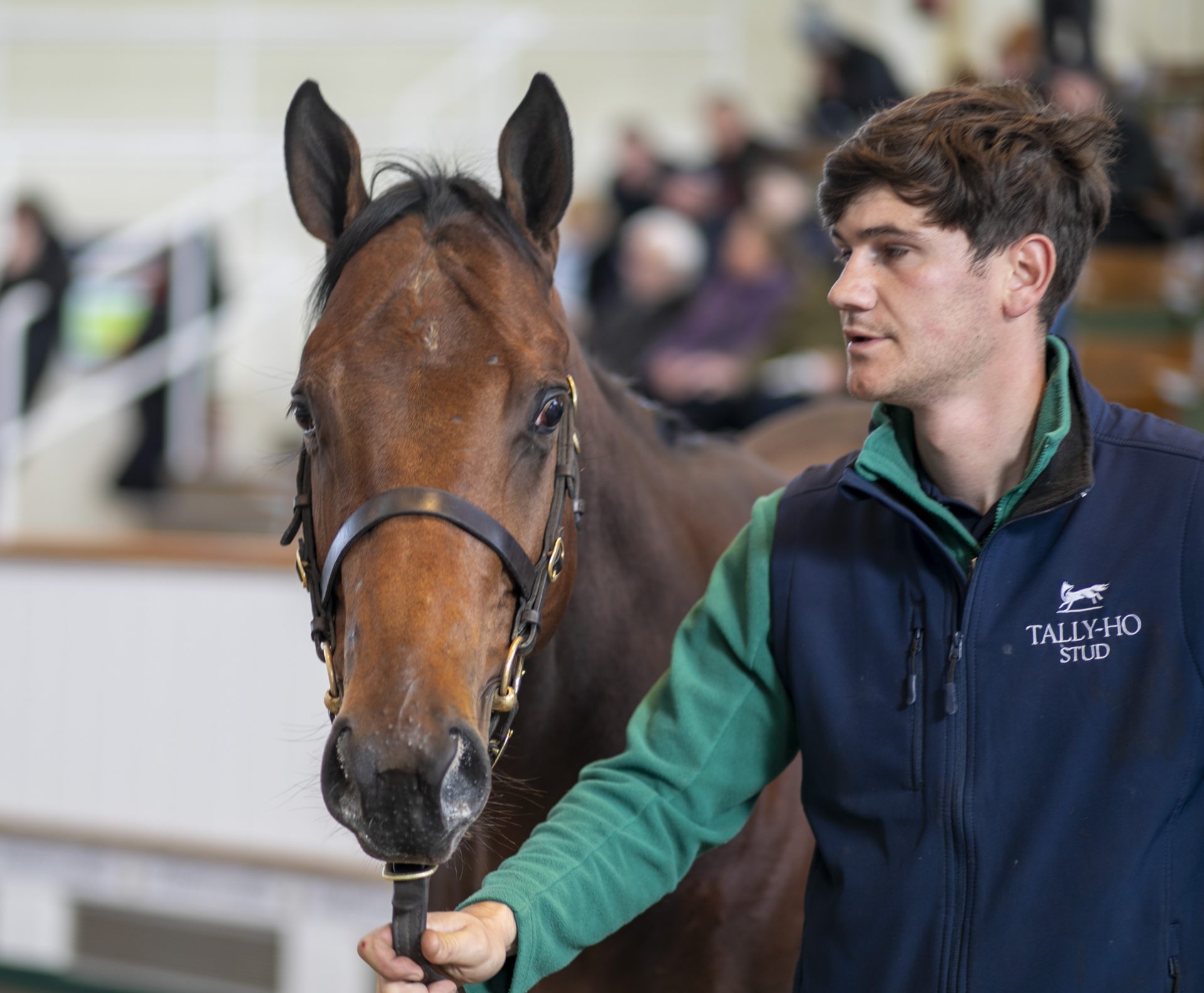 Image Gallery - Tattersalls