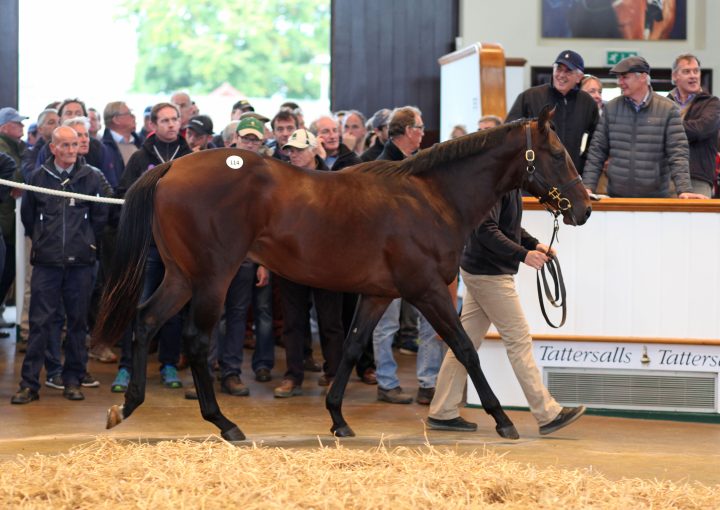 Tattersalls History - Tattersalls