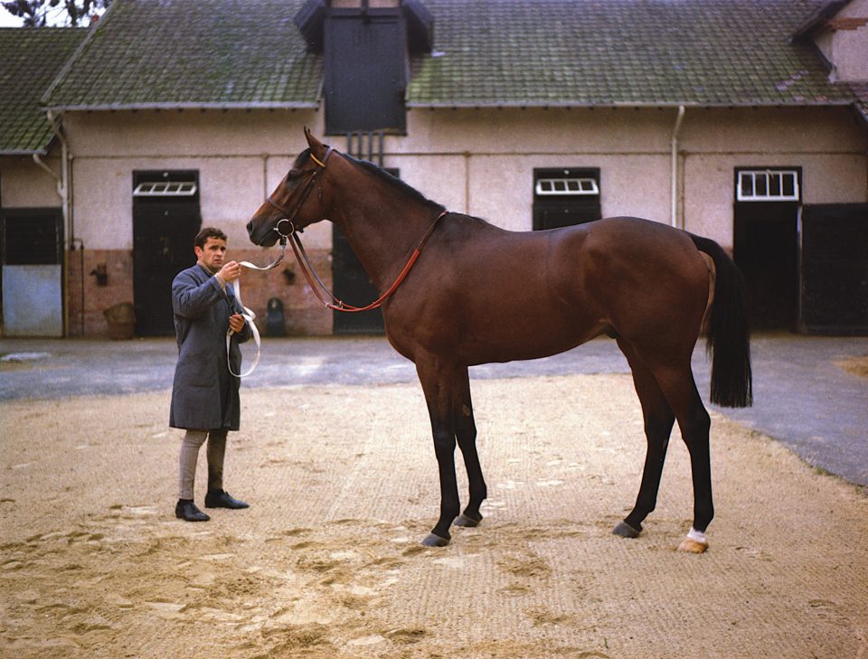 Tattersalls History - Tattersalls