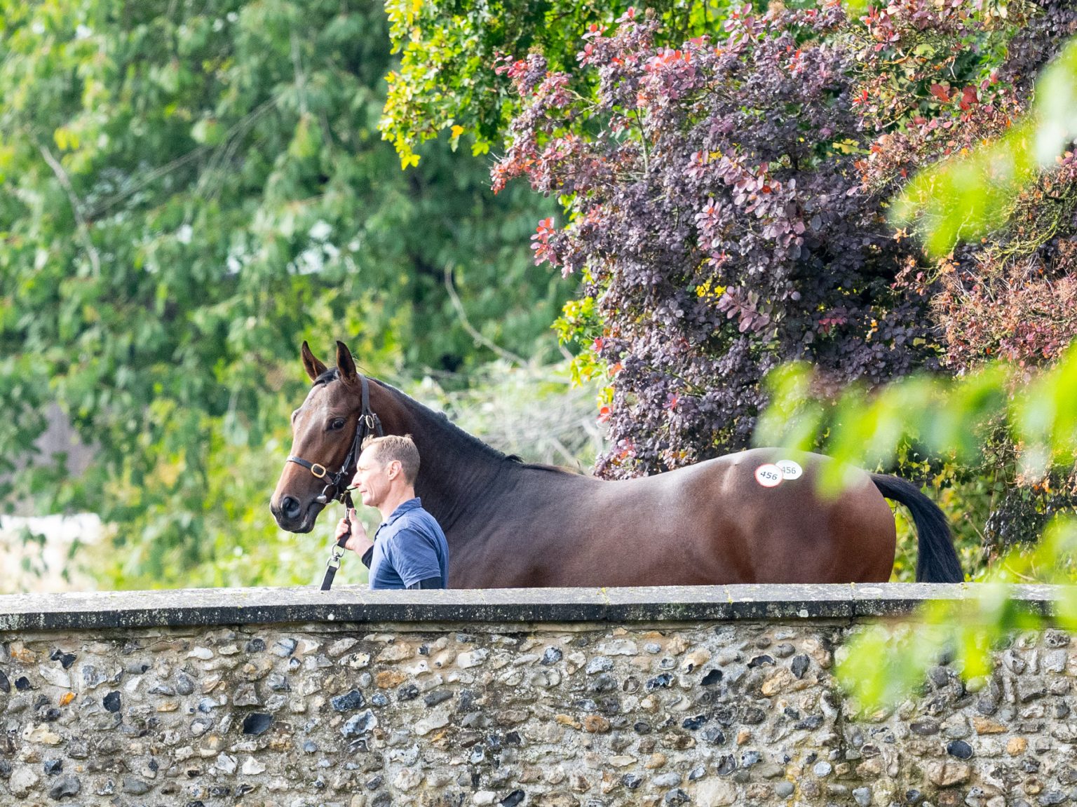 Summer Sale - Tattersalls