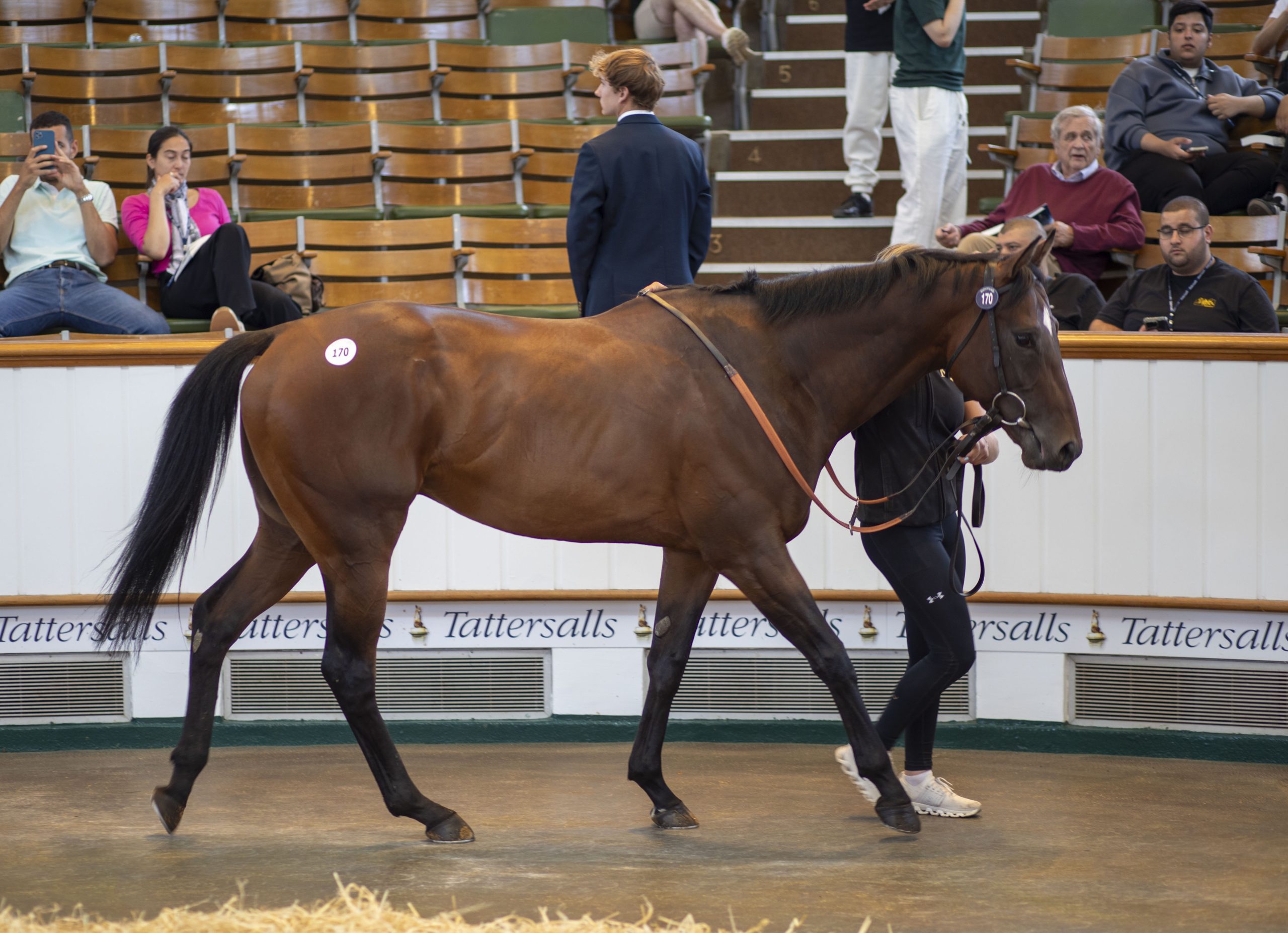 News - Tattersalls