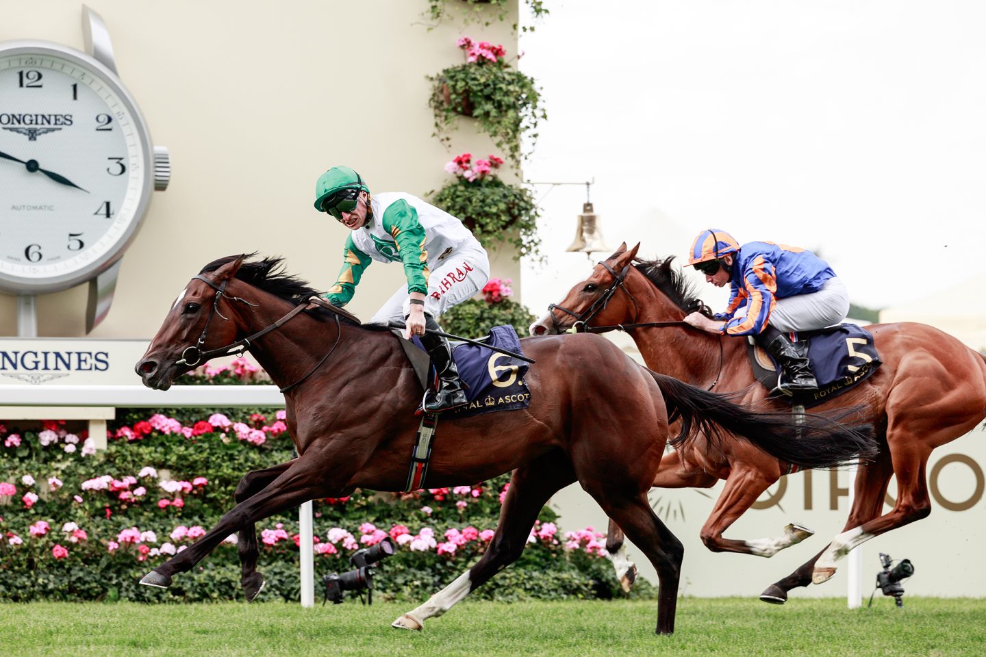 Champion Filly Porta Fortuna To Star At Tattersalls December Mares Sale ...