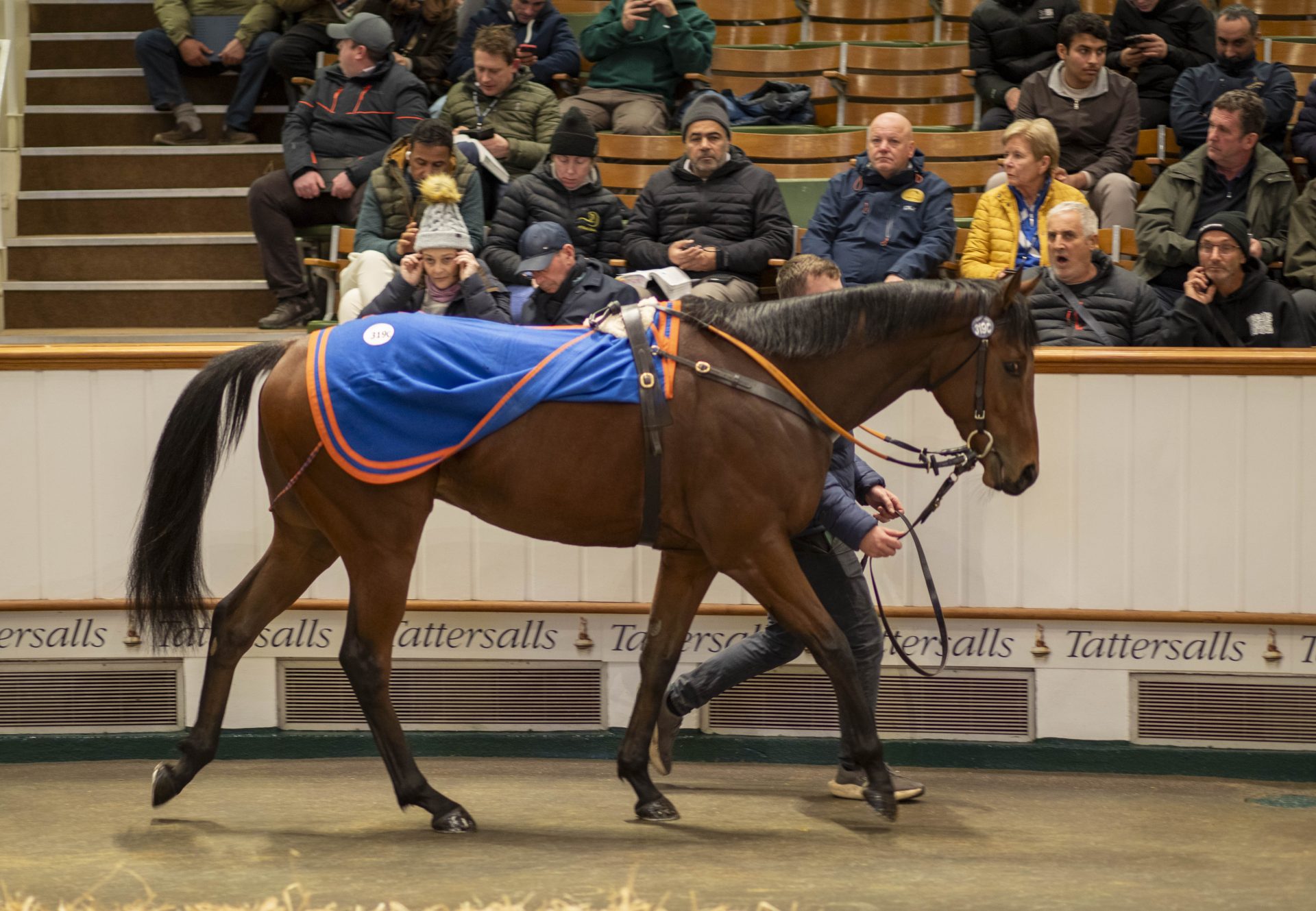 August George Heads Opening Day of Tattersalls Autumn Horses in ...