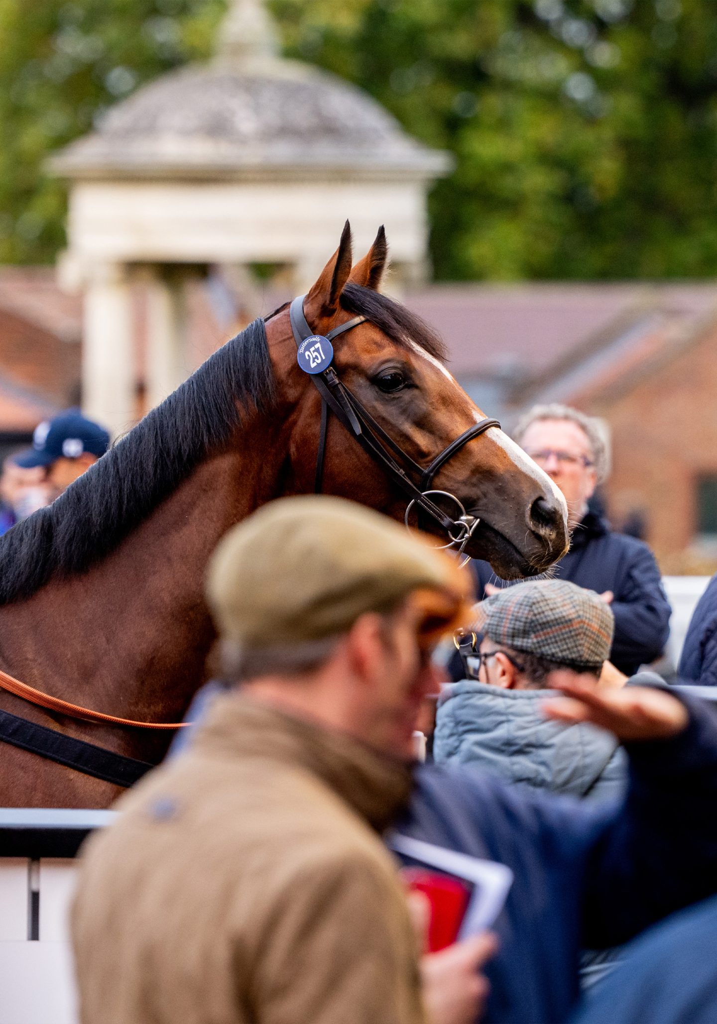 Home - Tattersalls