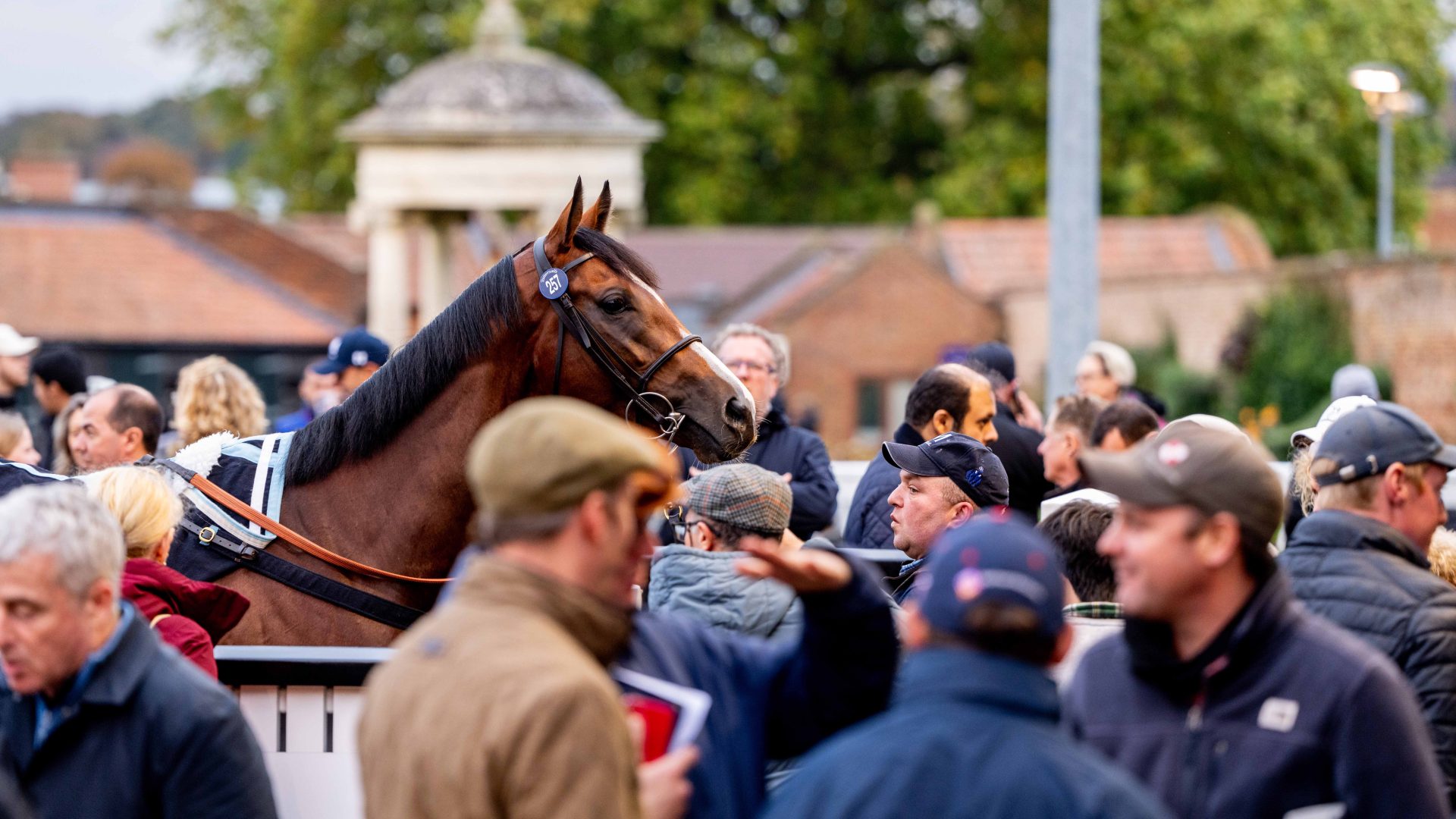 Home - Tattersalls
