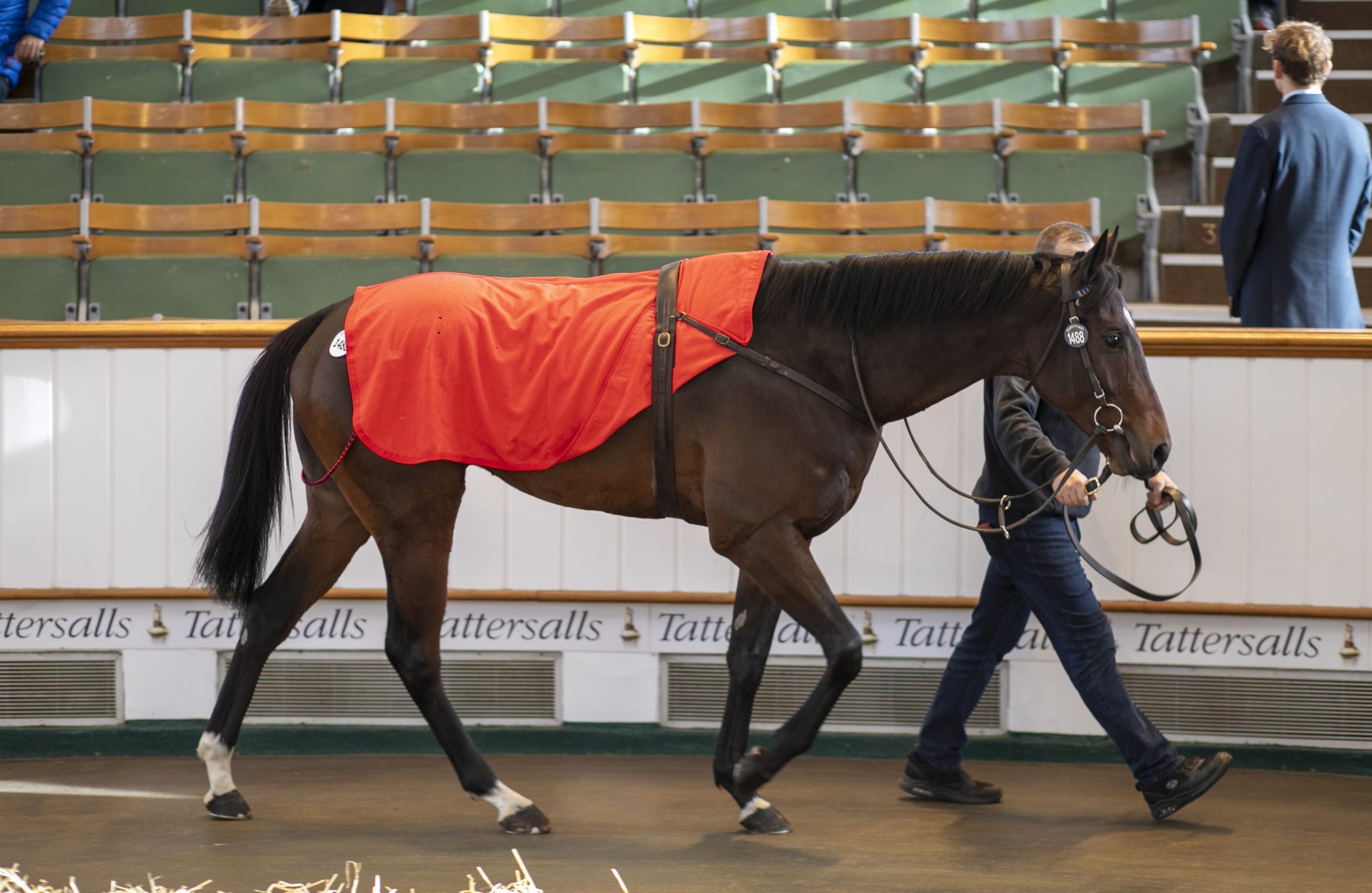 News - Tattersalls