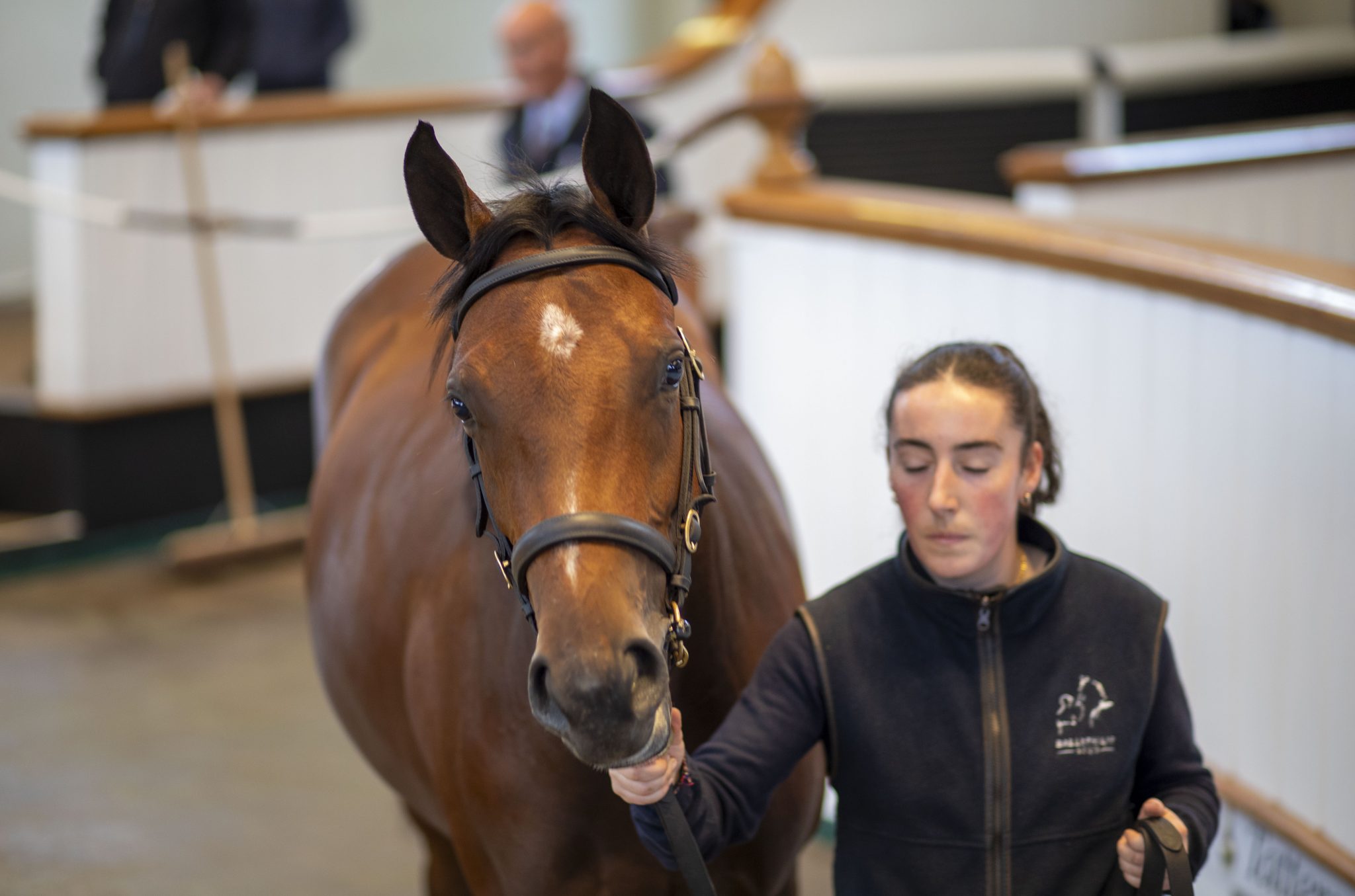 October Yearling Book 1 2025 - Tattersalls