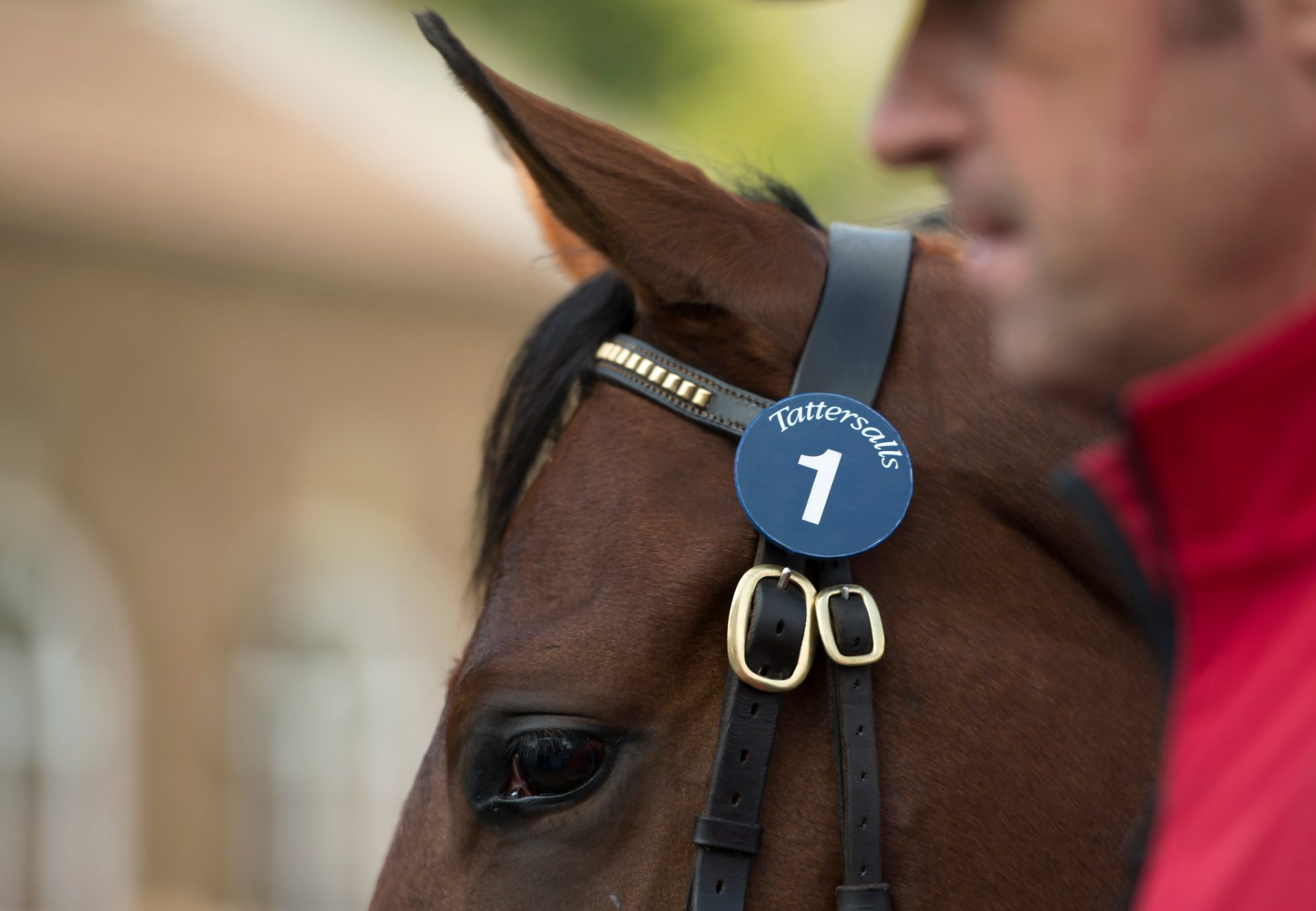 Home - Tattersalls
