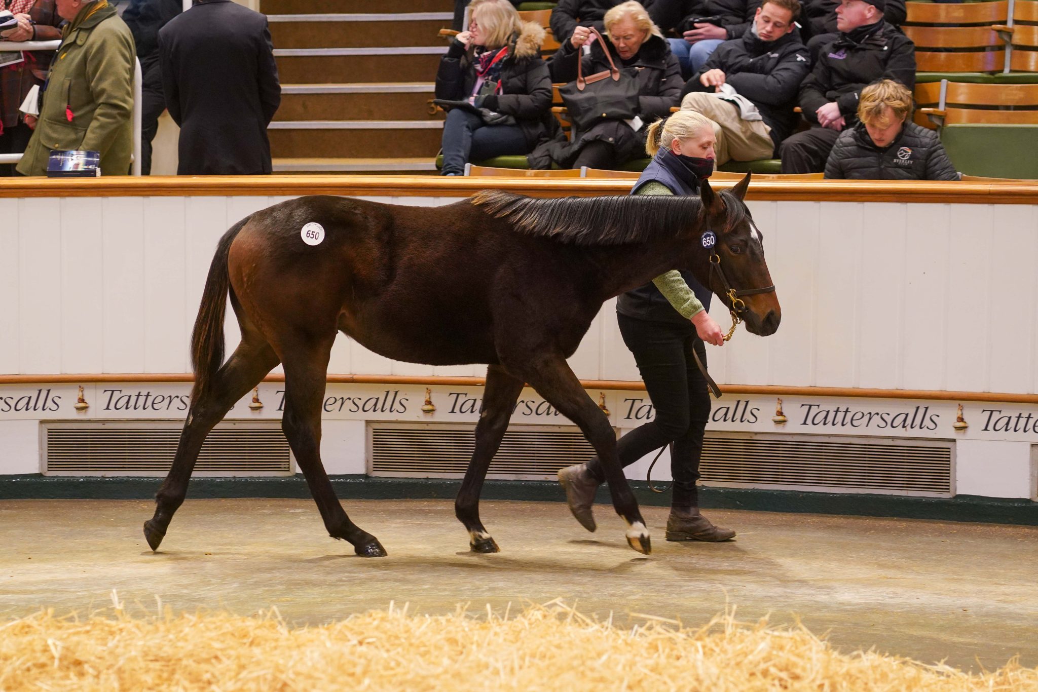 News - Tattersalls