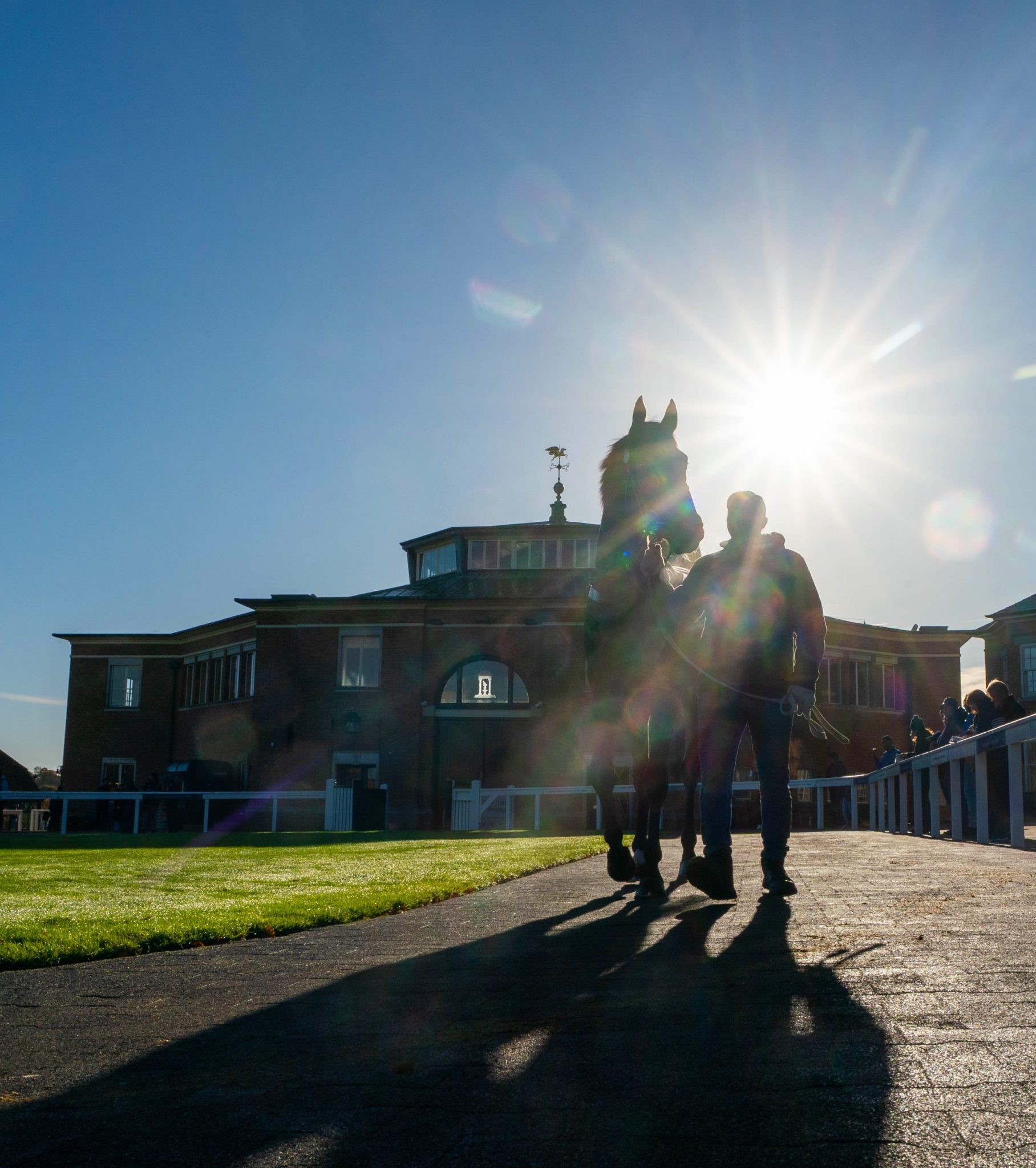 Home - Tattersalls