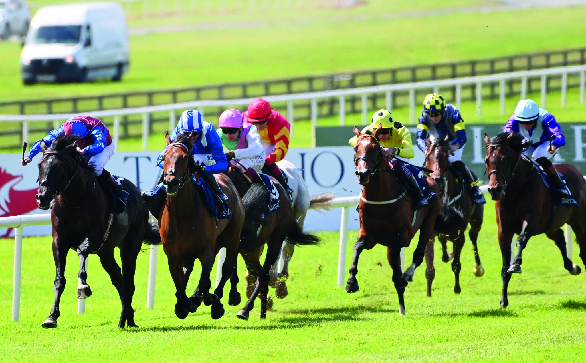 Tattersalls February Sale Catalogue Now Online - Tattersalls