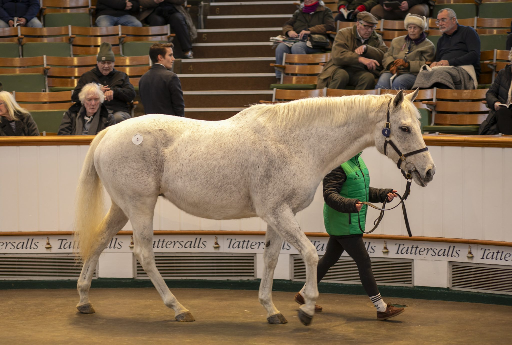 February Sale 2026 - Tattersalls