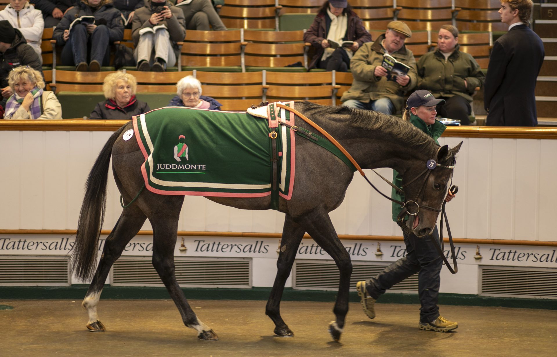 February Sale 2026 - Tattersalls