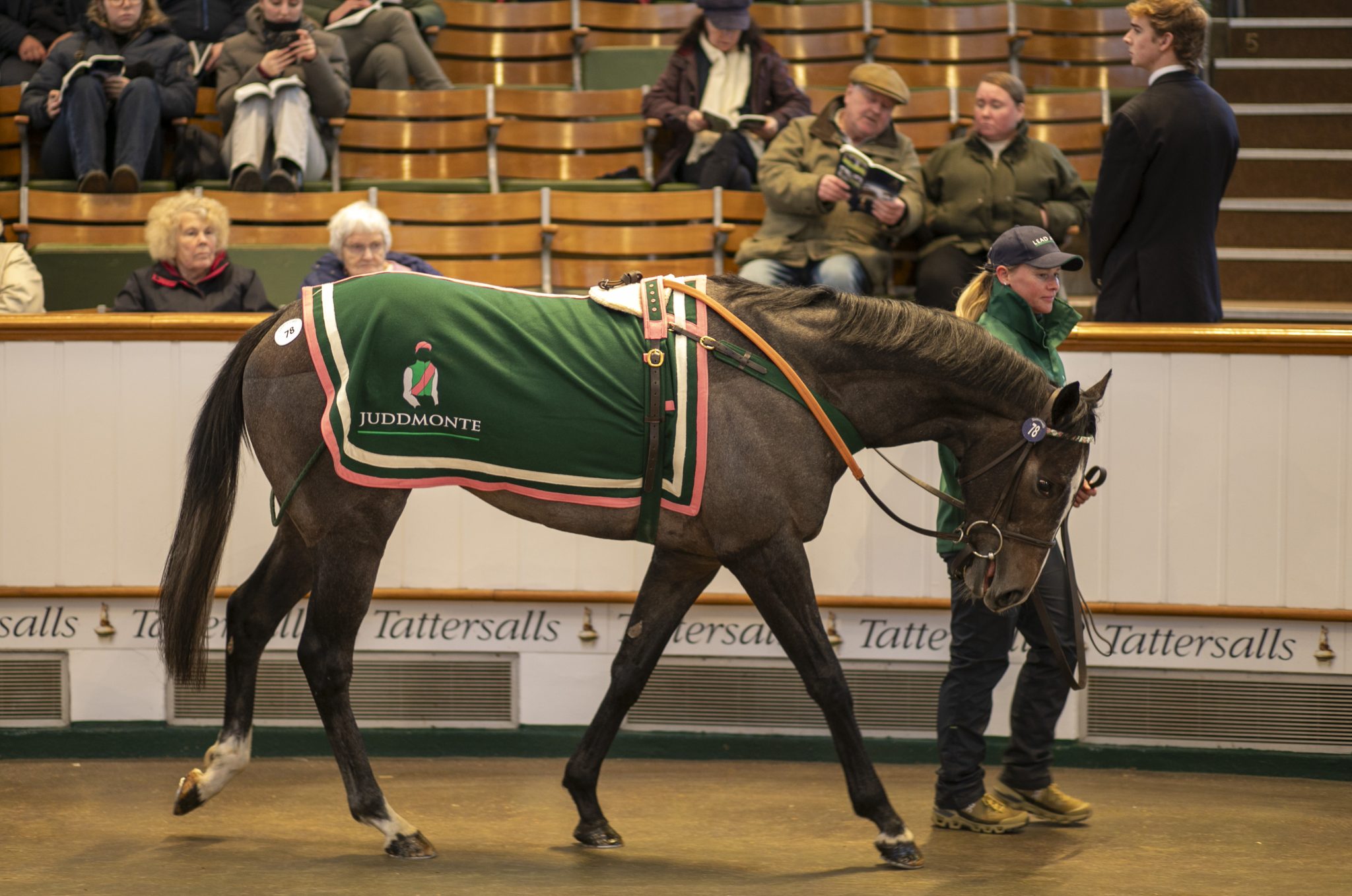 February Sale 2026 - Tattersalls